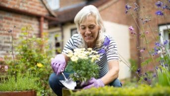 5 dividend-paying UK shares to consider for a retirement portfolio ...
