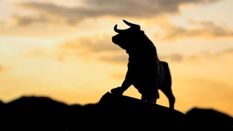 £500 buys 60 shares in this red-hot growth stock! | The Twelfth Magpie